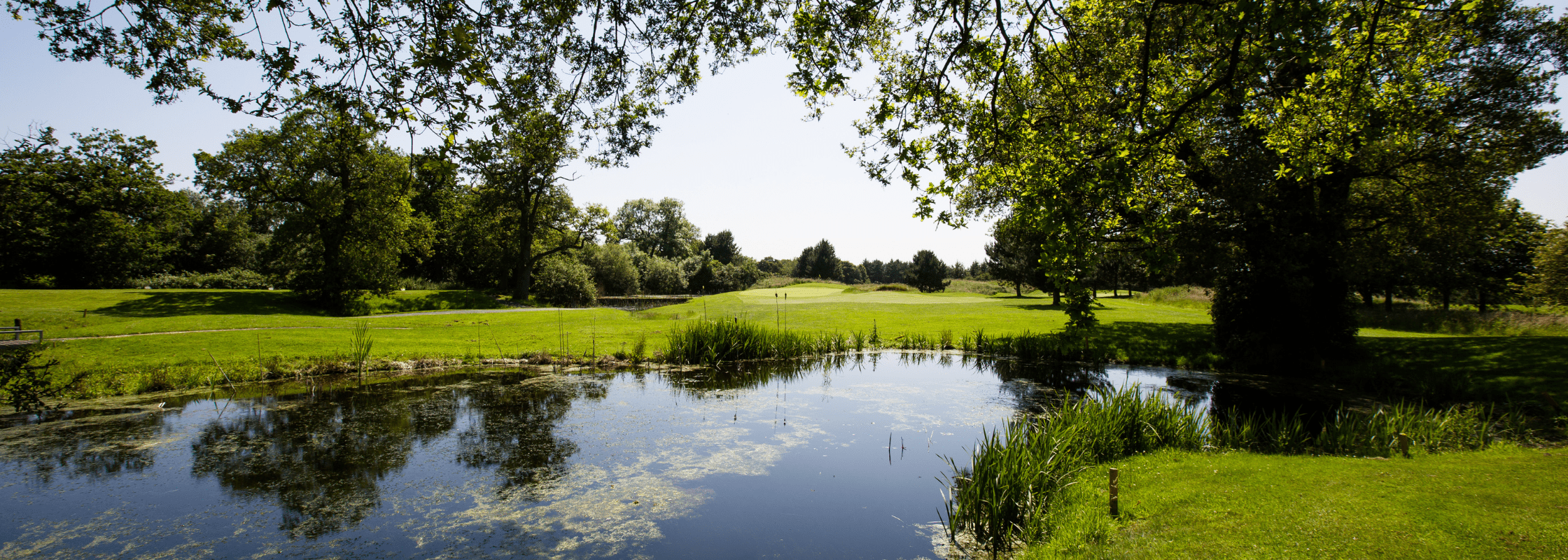 Meet The New Carden Park Club President | Carden Park