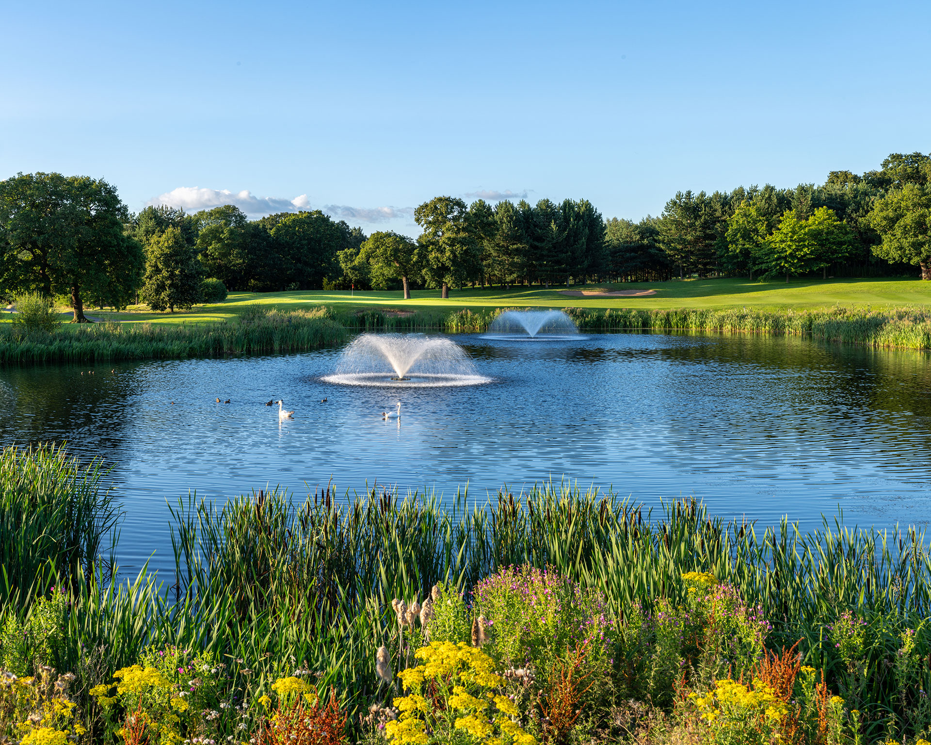 Discover the Great Outdoors: Join us on our Wildlife Trail! | Carden Park
